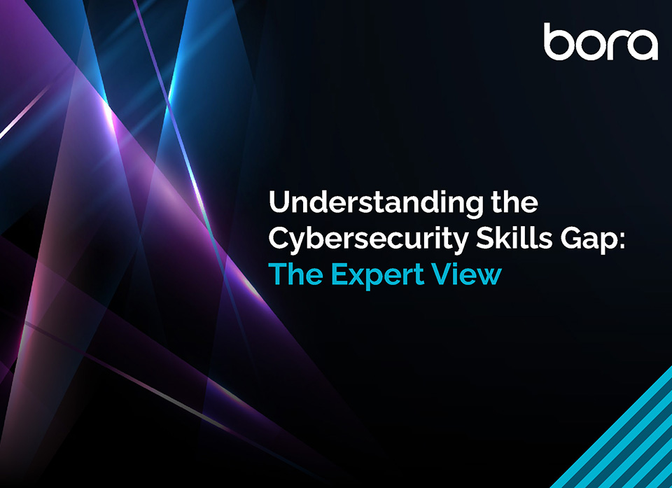 Understanding the Cybersecurity Skills Gap: The Expert View